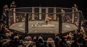 Home - Cage Warriors Academy